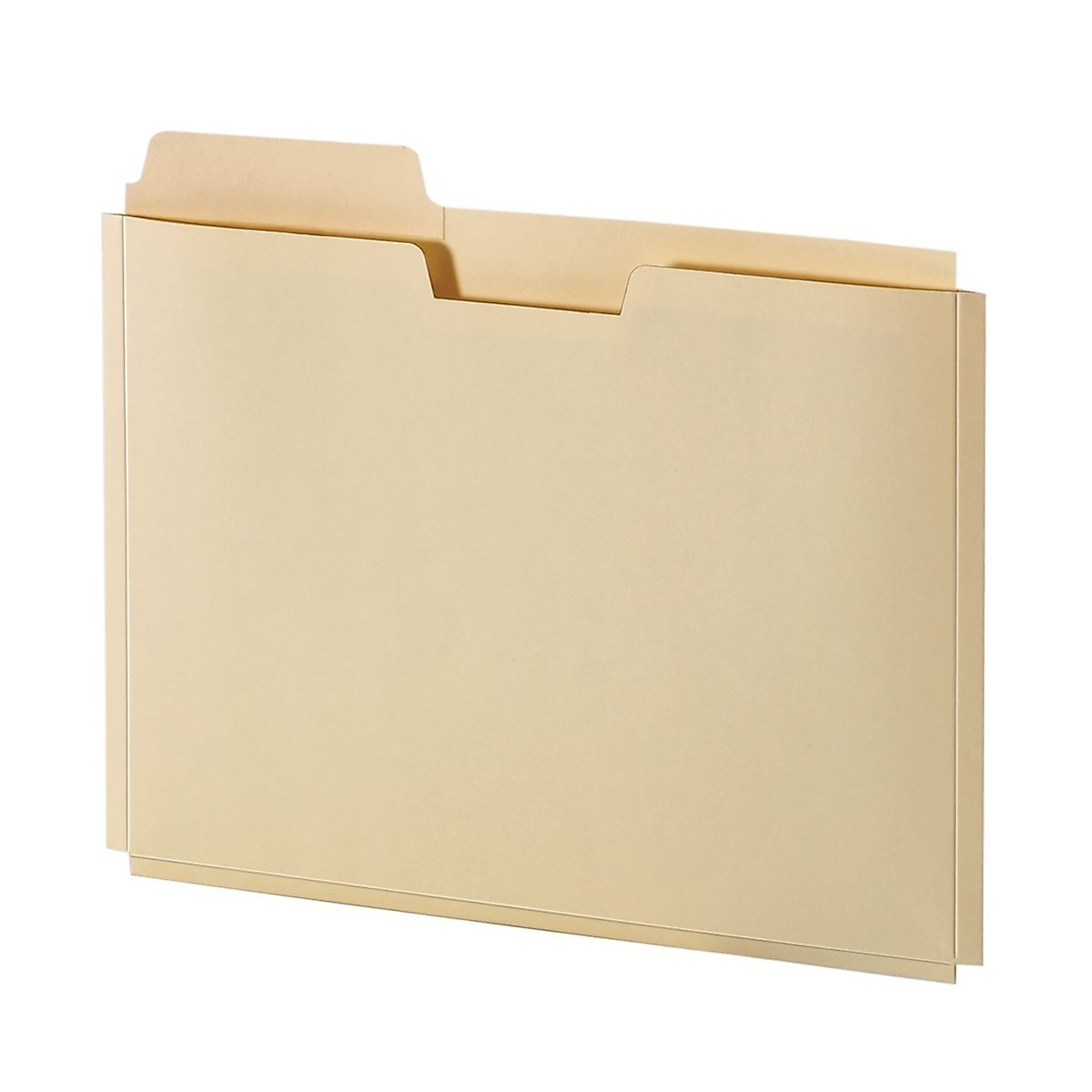 Pendaflex Expanding File Folder Pocket, Letter-Size Folders for School, Home and Office, Document Organizer, Durable Expanding File, Manila, 10 File Folder Pockets (FP153L10)"
