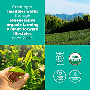 Navitas Organics Matcha Latte, 11.1oz Value Size Bag, 35 Servings — Organic, Non-GMO, Dairy-Free