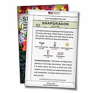 Sow Right Seeds - Tetra Mix Snapdragon Flower Seeds for Planting, Beautiful Flowers to Plant in Your Garden; Non-GMO Heirloom Seeds; Wonderful Gardening Gifts (2)