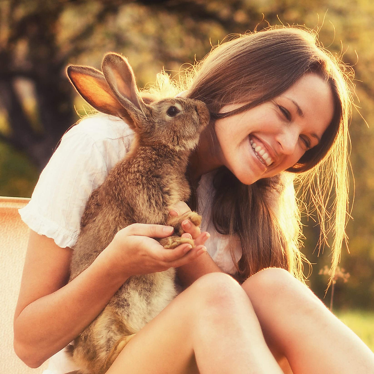 Sherwood Pet Health Digestive Support, Papaya (100 Tablets - 60 Grams). Contains Natural Motility Herbs That Regulate The Digestive Tract, Improve The Gut microbiome and Stimulate The Appetite.