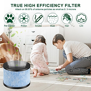 Katerelis 4 Pack MK01 MK06 TZ-K1 Replacement Filter Compatible with AROEVE MK01 MK06 MG01JH, ToLife TZ-K1 and Kloudi DH-JH01, POMORON MJ001H, Elechomes EPI081/EP1081, and Intelabe EPI080/EP1080