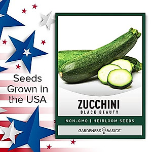 Zucchini Seeds for Planting - Black Beauty Green Heirloom, Non-GMO Vegetable Summer Squash Variety- 3 Grams Seeds Great for Summer Garden by Gardeners Basics