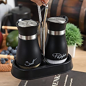 Wartter 2 PCS - Stainless Steel and Glass Salt and Pepper Shaker Sets with Holder (BLACK)