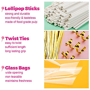 600Pcs Lollipop Stick, 6IN Cake Pop Sticks with Clear Treat Bags & Gold Twist Ties, Cake Pops Making Tools for Lollipops, Candies, Chocolates Cookies (A)