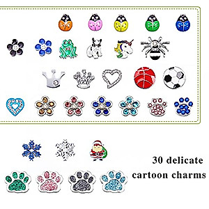 60 Colorful Chicken Poultry Leg Bands Adjustable Chicken Identification Bands Plastic Cable Tie with 30 Poultry Charms Accessories for Bird Chicken Duck Parrot Geese Turkey