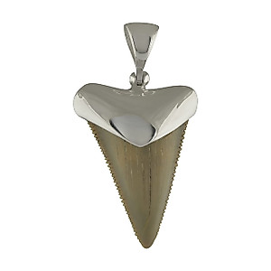 Fossil Shark Tooth Sterling Silver Cap-Set Pendant - Medium