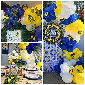 207Pcs Royal Blue Yellow Balloon Arch Kit for Summer Lemon Birthday Wedding Party Decoration,Amalfi Coast Decors Her Main Squeeze Bridal Shower Graduation Party Supplies