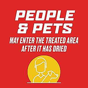 Ortho Outdoor Insect Killer Concentrate Kills Listed Ants, Spiders, Fleas & Ticks, 32 fl. oz.