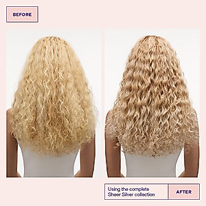 Maria Nila Sheer Silver, Shampoo 11.8 Fl Oz, Neutralizes Golden Shades, Violet Pigments Gives Cool Tone, 100% Vegan & Sulfate/Paraben free