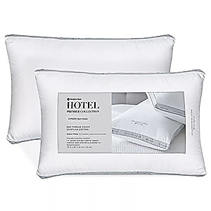 Member's Mark Hotel Premier Collection Queen Pillows (2 Pack)