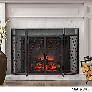 Christopher Knight Home Laurel Iron Folding Fireplace Screen, Matte Black