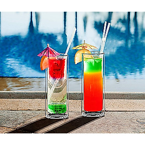 Sun's Tea Tropical Delight - Strong Double Wall Insulated Highball Tall Tom Collins Drinking Glasses for Bourbon or Whiskey or Rum Cocktail, Martini, Champagne, Beer, Mojito, Jiuce - Set of 2 (14 oz)