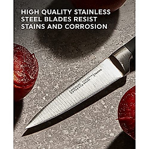 Chicago Cutlery Insignia Triple Rivet Poly (18-PC) Kitchen Knife Block Set With Wooden Block & Built-In Sharpener, Black Ergonomic Handles and Sharp Stainless Steel Professional Chef Knife Set