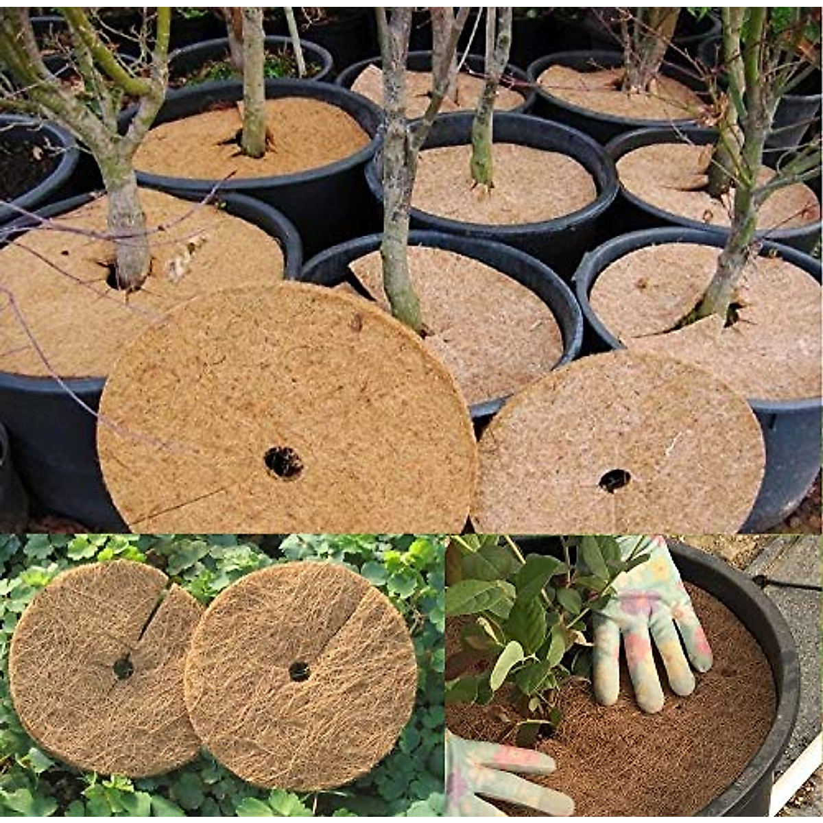 ZeeDix 3 Pcs Coconut Fibers Mulch Ring Tree Protector Mat,11.8 Inch 100% Natural Coco Coir Tree Protection,Tree Ring Mats Tree Disc Plant Cover for Indoor or Outdoor