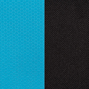 Baby Trend Expedition 2-in-1 Stroller Wagon Plus, Ultra Marine