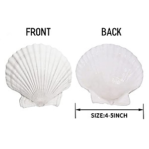 Giftvest 10PCS Sea Shells White Scallop Shells for Crafts Baking Cooking Serving Food, 4-5 inch Large Natural Seashells for DIY Crafts Seashell Beach Decorations for Home Decor
