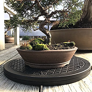 Mighty Mini Bonsai Tree Turntable 12.5" Base Stainless Steel Ball Bearings. Low Cost 200-Pound Capacity 360-Degree Rotation Allows Easy Pruning Or Great Bonsai Tree Displays