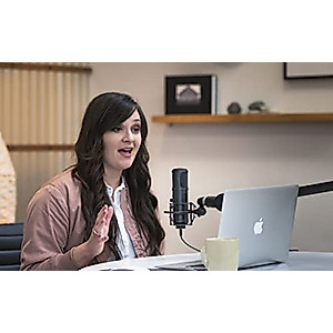 512 Audio by Warm Audio Tempest - Large Diaphragm Studio Condenser USB Microphone + Stand + Shock Mount for Recording and Streaming