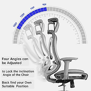 ERGOUP Ergonomic Office Chair Computer Desk Chiar Mesh High Grey Desk Chair, Mesh Computer Chair with Adjustable Lumbar Support, Rocking Executive Swivel Chair for Home