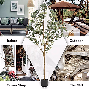 DIIGER Artificial Tree Plant Eucalyptus Tree 6FT Tall, Modern Large Fake Plant Decor in Pot for Indoor Outdoor,Home Office Perfect Housewares Gift Decoration, 71 in Eucalyptus Tree