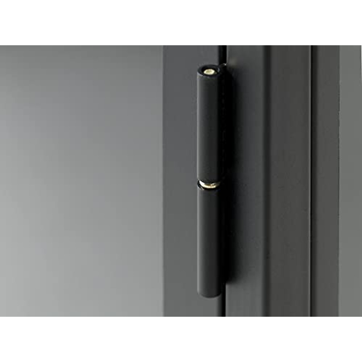 Modern Dover 2-Section Sideboard with Tempered Glass Doors, Steel Frame, Adjustable Height Feet, Freestanding for Home Office, Living Room, ‎Bathroom, Nursery, Bedroom, 15.75x36.5x33.5 in., Black/Gold