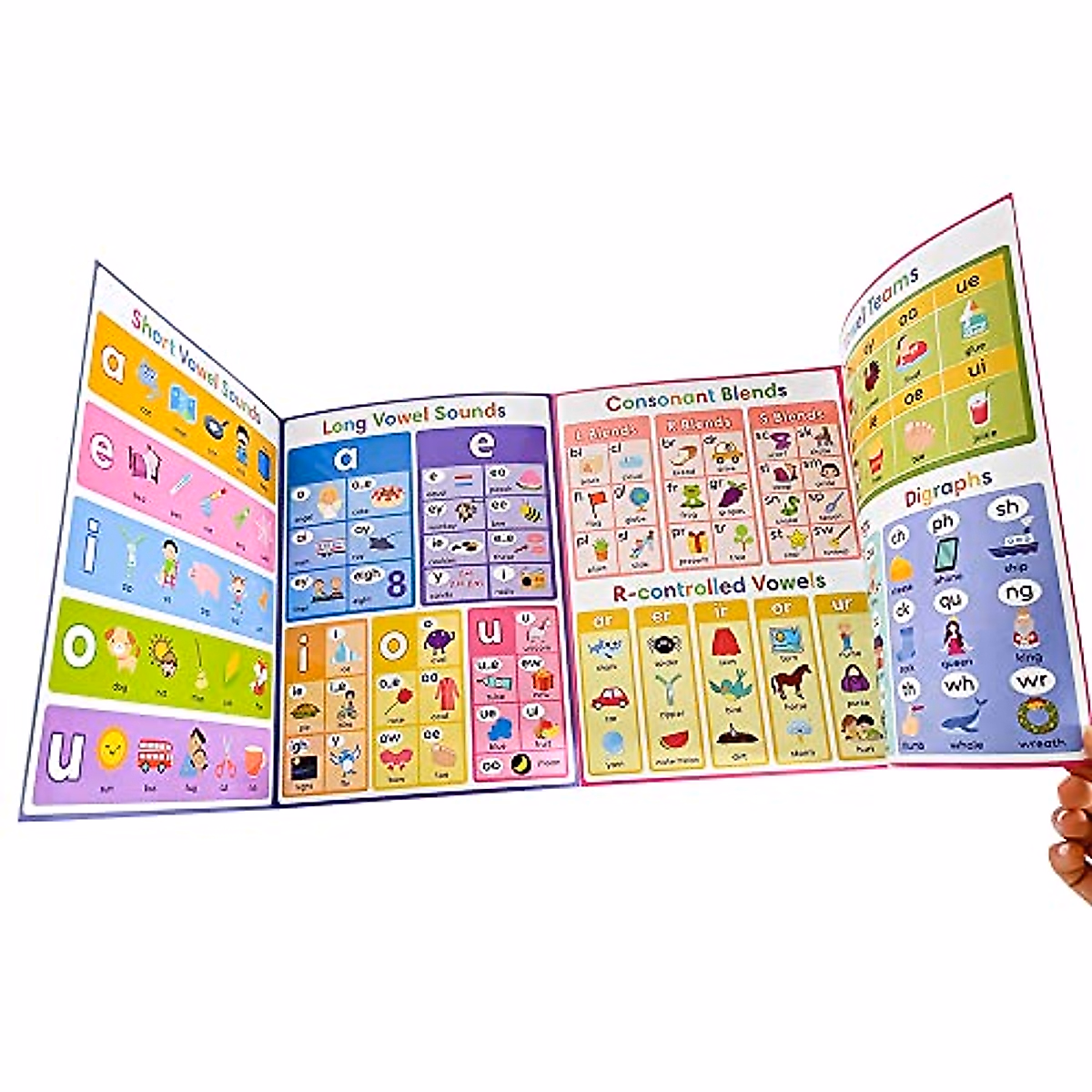 Lachilly My First Learning Chart and My First Phonics Chart Set Words Learning Sheet Educational Poster Vocabulary Building Flashcards Worksheet Teacher Teaching Aids for Pre-Kindergarten