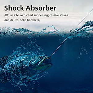 RUNCL PowerMono Fishing Line, Monofilament Fishing Line - Ultimate Strength, Shock Absorber, Suspend in Water, Knot Friendly - Mono Fishing Line (Clear, 30LB(13.6kgs), 300yds)