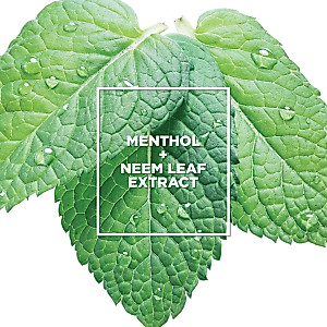 L'Oreal Paris EverPure Scalp Care + Detox Sulfate Free Conditioner for Color-Treated Hair, Invigorates Scalp and Renews Hydration, Menthol and Neem Leaf Extract, 8.5 Ounces