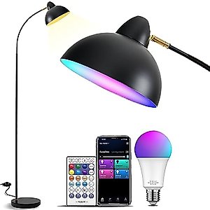YHW Living Room Floor Lamp Smart Compatible with Alexa&Google, RGB 2700-6500k CCT Dimmable Color Changing for Bedroom Office.