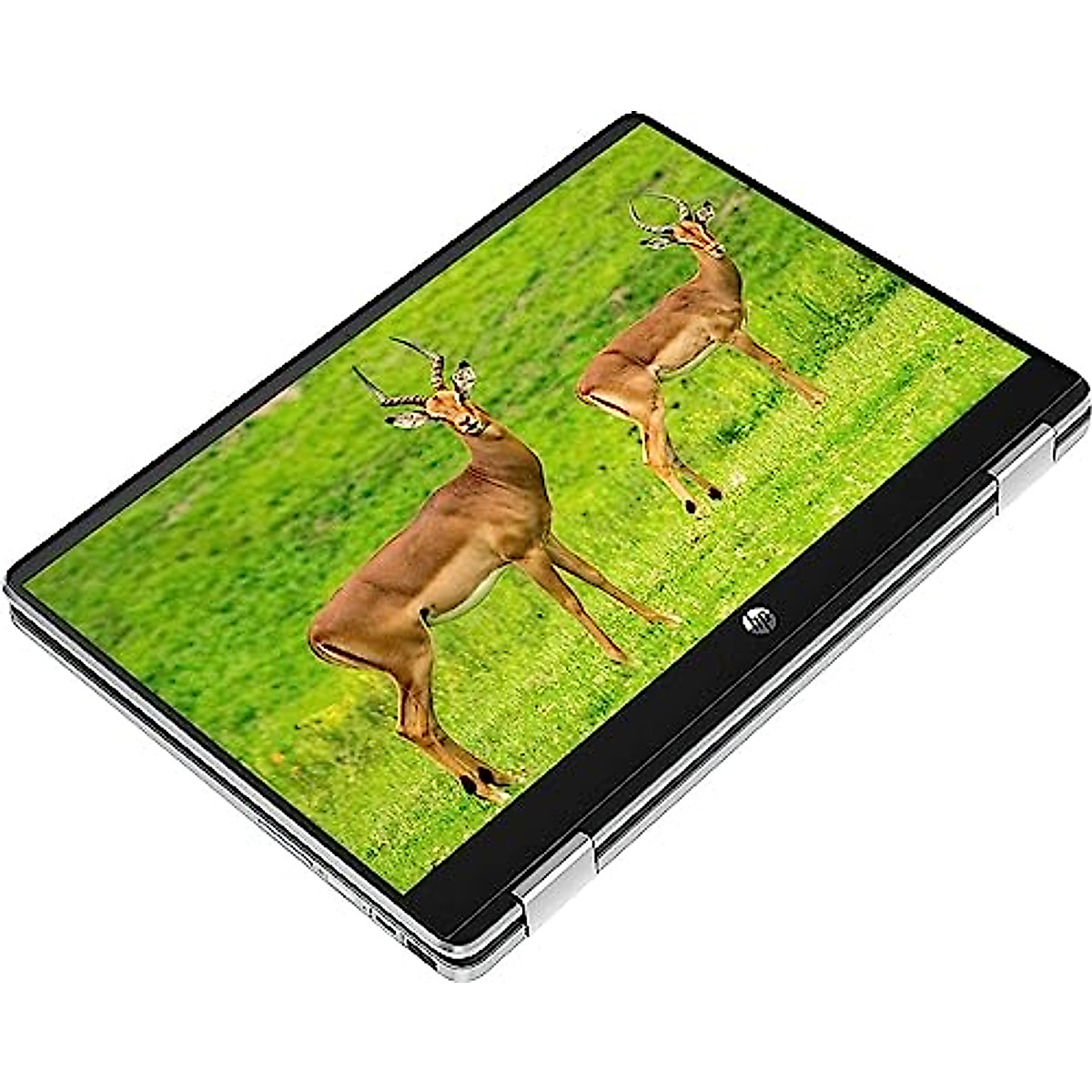 HP Premium Convertible 2-in-1 Chromebook, 14" HD IPS Touchscreen, Intel Celeron N Processor up to 2.78GHz, 4GB Ram, 64GB SSD, Super-Fast WiFi, Chrome OS, Arctic Silver Color (Renewed)