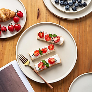 AmorArc Ceramic Dinner Salad Plates Set of 4, 8.0 Inch Reactive Matte Glaze Dish Set, Dessert,Salad, Appetizer, Small Dinner Plate,Microwave, Dishwasher Safe, Scratch Resistant, Ivory