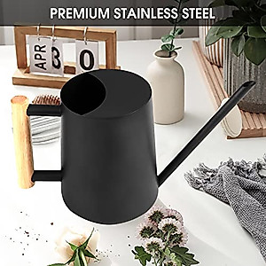 Watering Can Indoor Plants, 35 oz/1000 ml Metal Stainless Steel Watering Can Small Modern Watering Pot with Long Spout for Indoor House Plants Bonsai Outdoor Garden Flower Decorative (Black)
