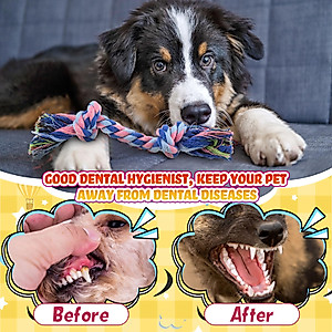 RoundFunny 100 Pieces Knot Rope Dog Toys Multi Color Puppy Knot Chew Toy Cotton Puppy Toys Dental Dog Teething Toys 2 Knot Dog Tug for Small and Medium Dogs Aggressive Chewers Supplies