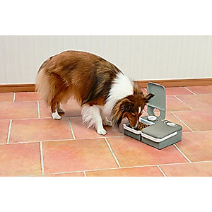 PetSafe Automatic 2 Meal Pet Feeder with Battery Powered Programmable Timer, 3 Cups Total Capacity, Cat and Small to Medium Dog Food Dispenser