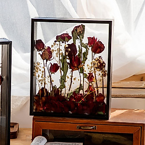 XIYUAN Wooden Dried Flower Photo Frame Dried Flower Display Stand Decorative Floating Photo Frame Clear Double-sided Dried Flower Display Desktop Souvenir Photo Herbarium Photo Frame (8x10''/Black)