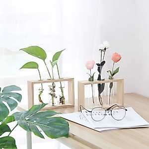 20x150mm 35ml Glass Test Tubes,20 Pcs Glass Test Tube with Cork Stoppers for Bath Salts,Candy Storage,Plants,Science Themed Party and Home Decoration