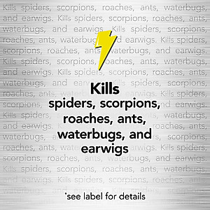 Raid Spider and Scorpion Killer, Kills spiders, scorpions, roaches, ants, Waterbugs, earwigs, 12 Oz