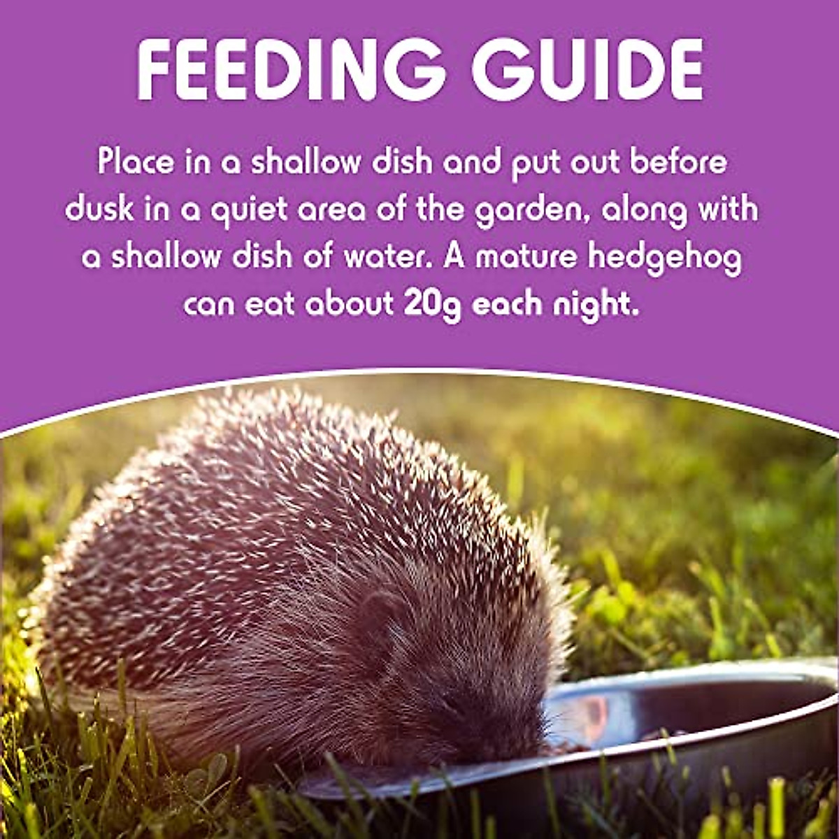 Spikes World Ltd Spikes Semi-moist Hedgehog Food 550g