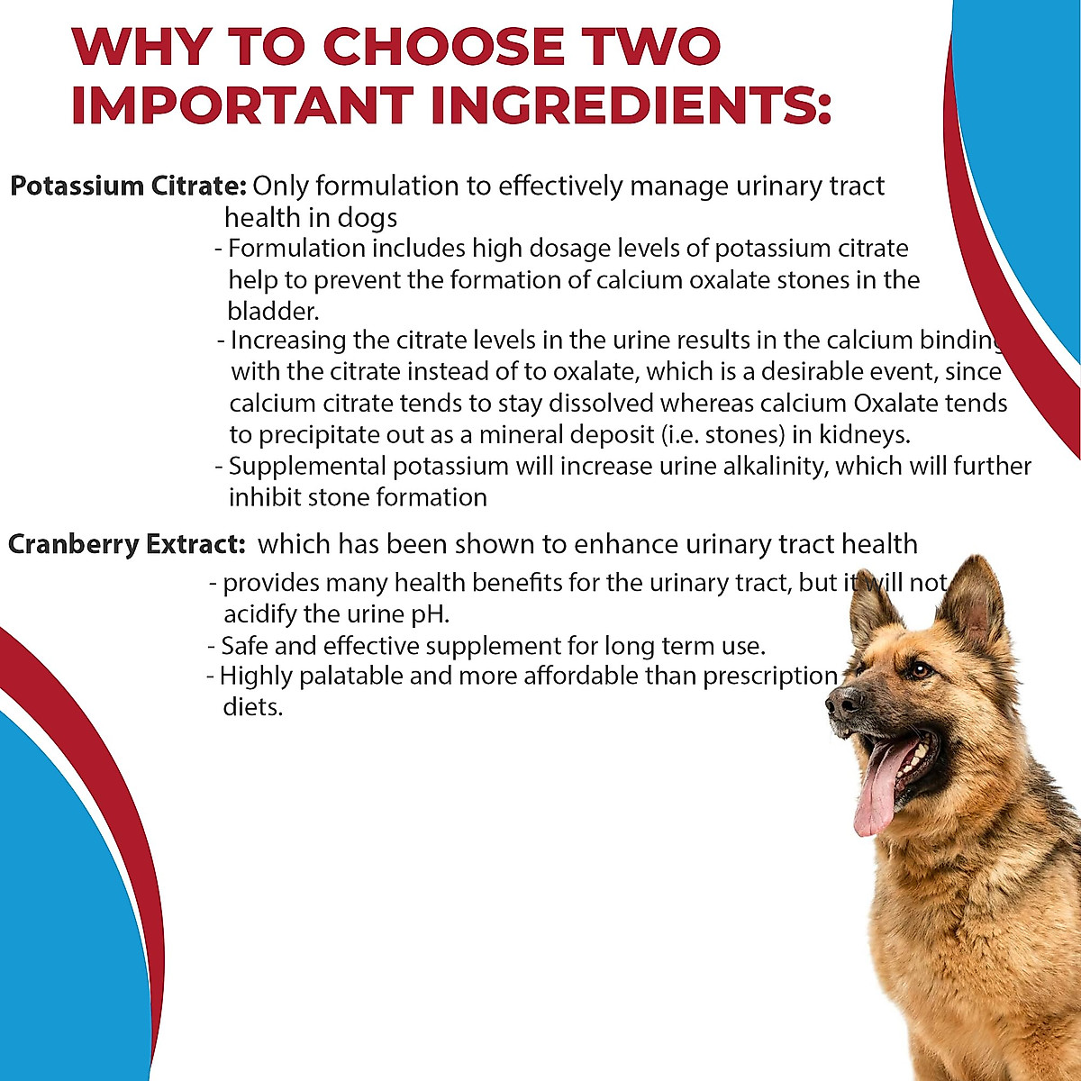 Potassium Citrate Plus Cranberry Supplement for Dogs (100 Tablets) - Urinary Tract Support-Helps Deter Formation of Calcium Oxalate Stones - Deters Bladder & Kidney Stones (Made in U.S.A)