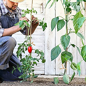 1000 Pcs 6" Twist Ties, Kraft Paper Twist Ties Plant Ties Cable Ties Reusable Bread Ties for Party Cello Candy Coffee Treat Bags Cake Pops (6")