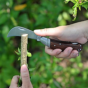 Linsen-Outdoor Pruning Knife with Lock Back,Grafting Knife, Stainless Steel Garden Budding Knife, Folding Pocket Knife for Grafting Multi Cutting Tool, Weed Bushes Branches Mushroom Diggig Knife