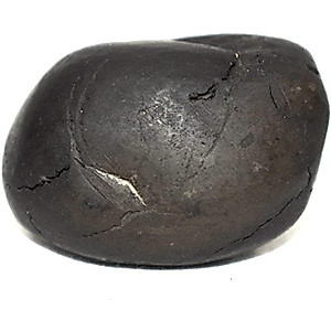 Shaligram Laxmi Narayan Shaligram Rudraksha Guru Narsihma Shaligram Kurma Shaligram