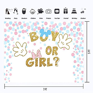 Micky Mouse or Minnie Mouse Baby Shower Backdrop for Gender Reveal Party Supplies 7x5 Glitter Pink or Blue Baby Shower Background for Boy and Girl Vinyl Minnie Bow Tie White Mickey Hands Backdrops