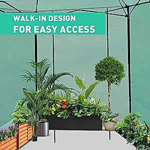 PexFix 6'x 5' Portable Walk-in Greenhouse Easy Setup,Indoor Outdoor Greenhouse Garden Green Houses Instant Pop-up Greenhouse,2 Roll-Up Mesh Windows and Roll-up Zipper Door,Green