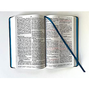 Biblia RVR 1960 letra grande, tamaño manual, tapa dura de tela León aguamarina / Spanish Bible RVR 1960 Handy Size Large Print Hardcover Cloth Lion Aquamari