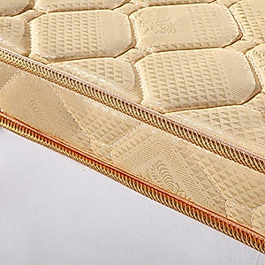 WJH Tri-Folding Mattress, Thicken Tatami Floor Mat Washable Reversible Sleeping Pad Protector-Golden 100x200x5cm(39x79x2inch)