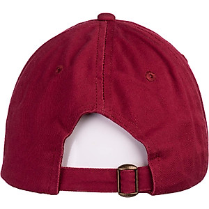 Ann Arbor T-shirt Co. My Weekend is All Booked | Funny Cute Book Club Reader Reading Women's Baseball Dad Hat-Cardinal