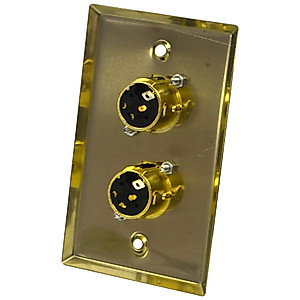 Seismic Audio SA-PLATE18 Gold Stainless Steel Wall Plate with Dual XLR Male Connectors