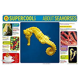 5,000 Awesome Facts (About Everything!) 2