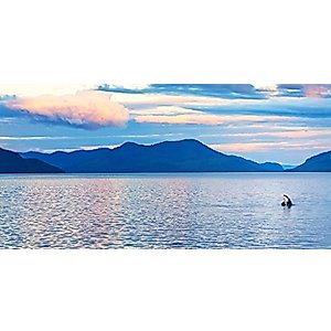 Dreaming of Alaska